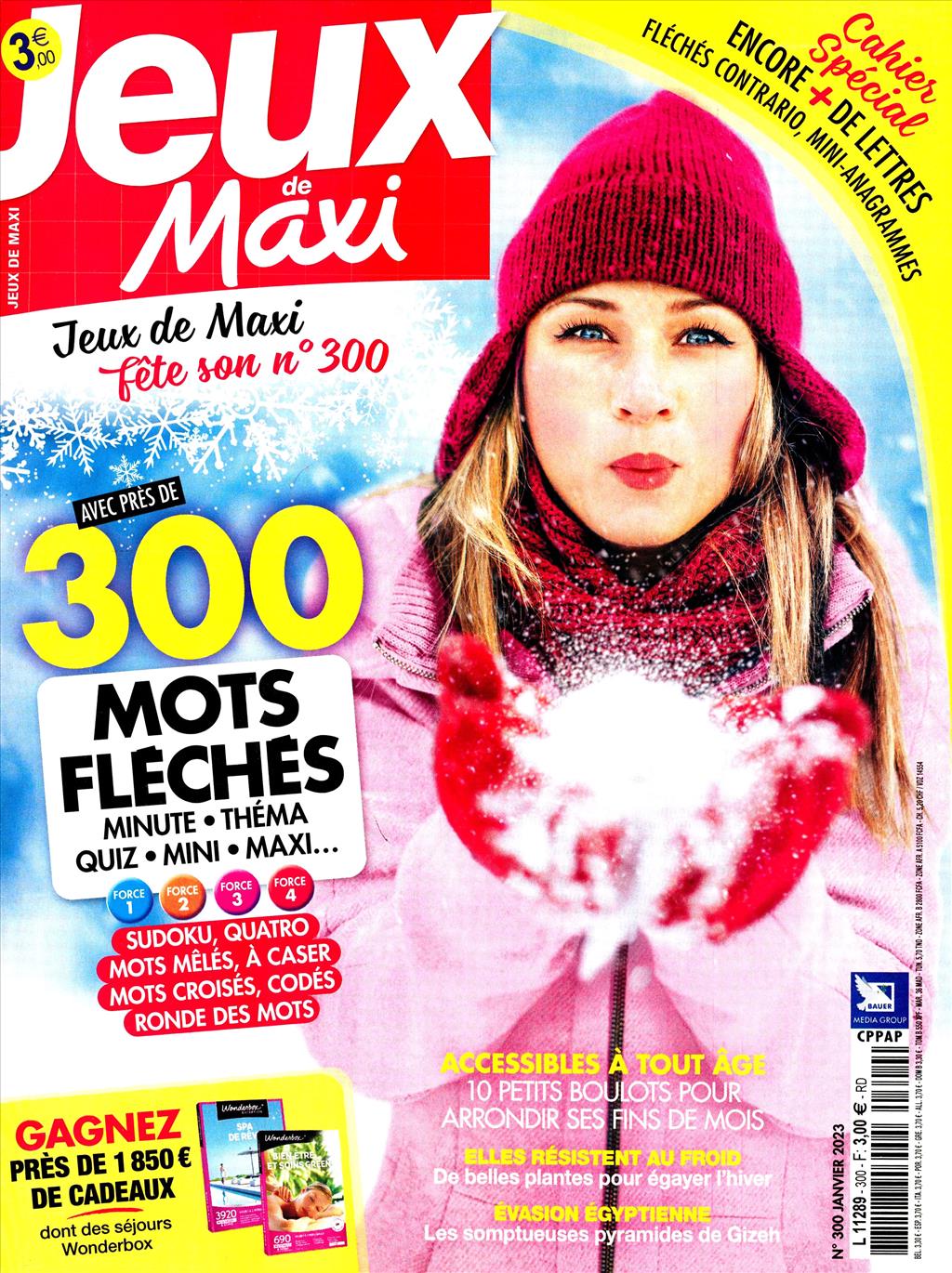 Catalogue Produits 11289 JEUX DE MAXI 300